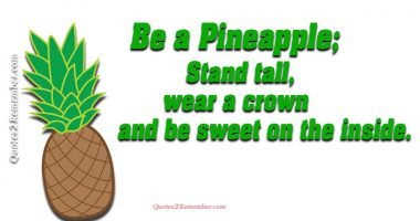 Be a Pineapple… – Quotes 2 Remember